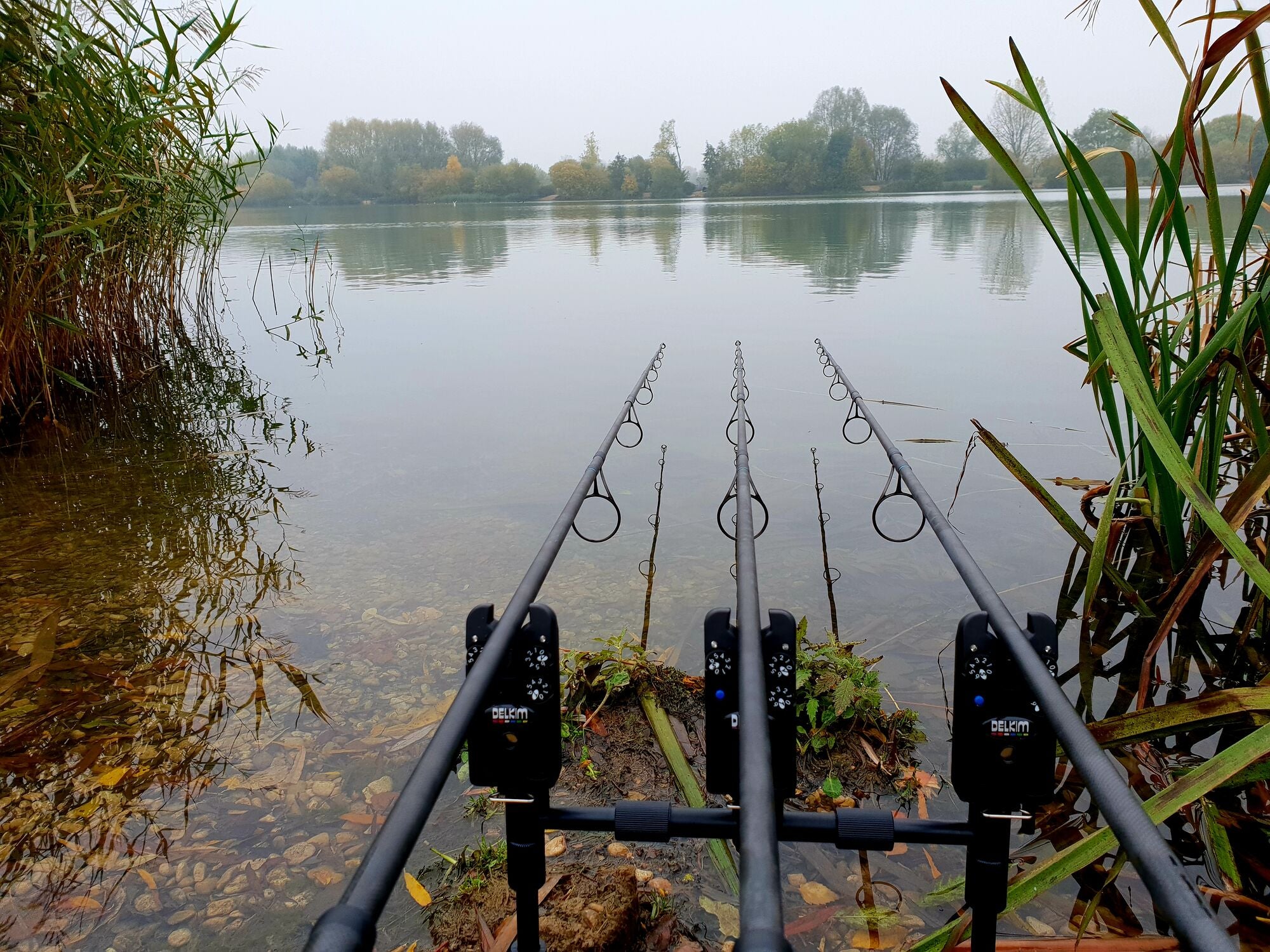 Carp Fishing – Taskers Angling