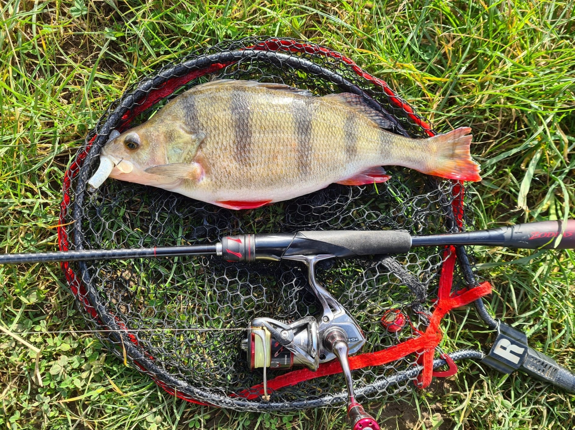 Taskers Angling | Fishing Tackle Shop | Liverpool